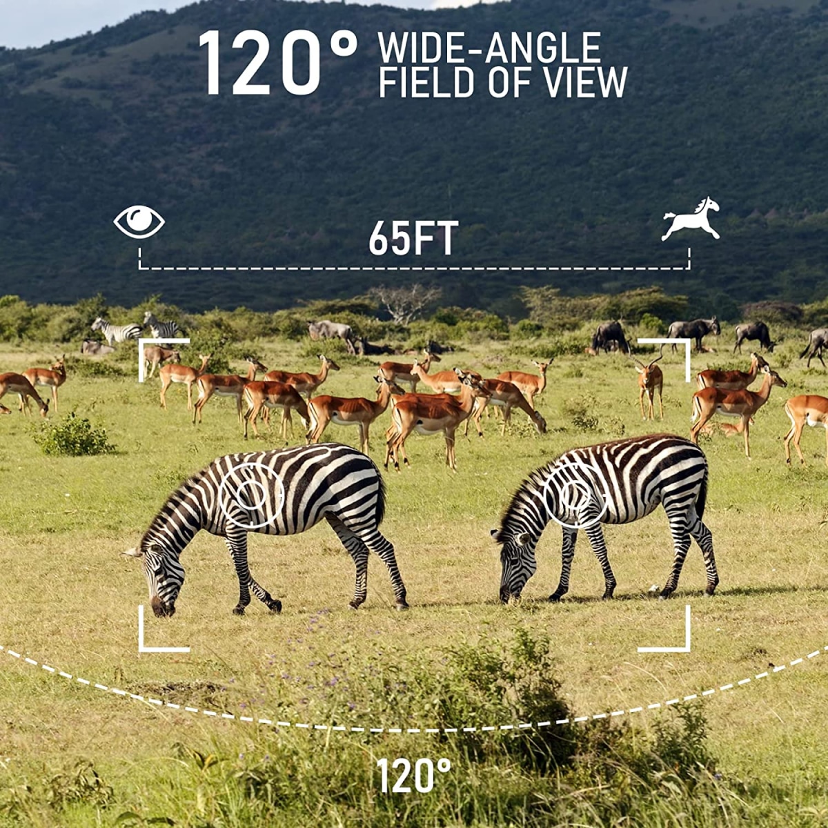 SkyeScout Cellular Game Camera - Save 50% Now