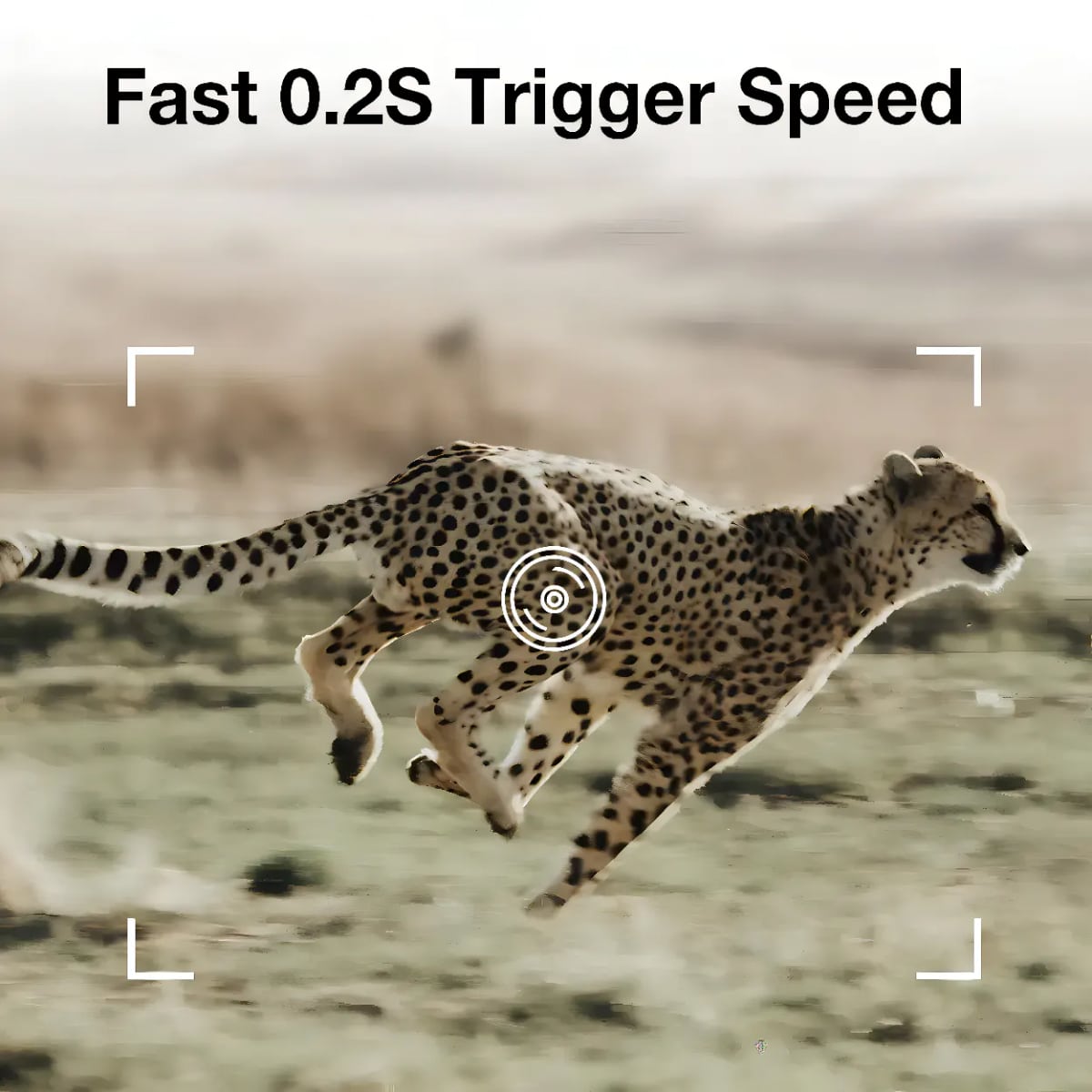 SkyeScout Cellular Game Camera - Save 50% Now