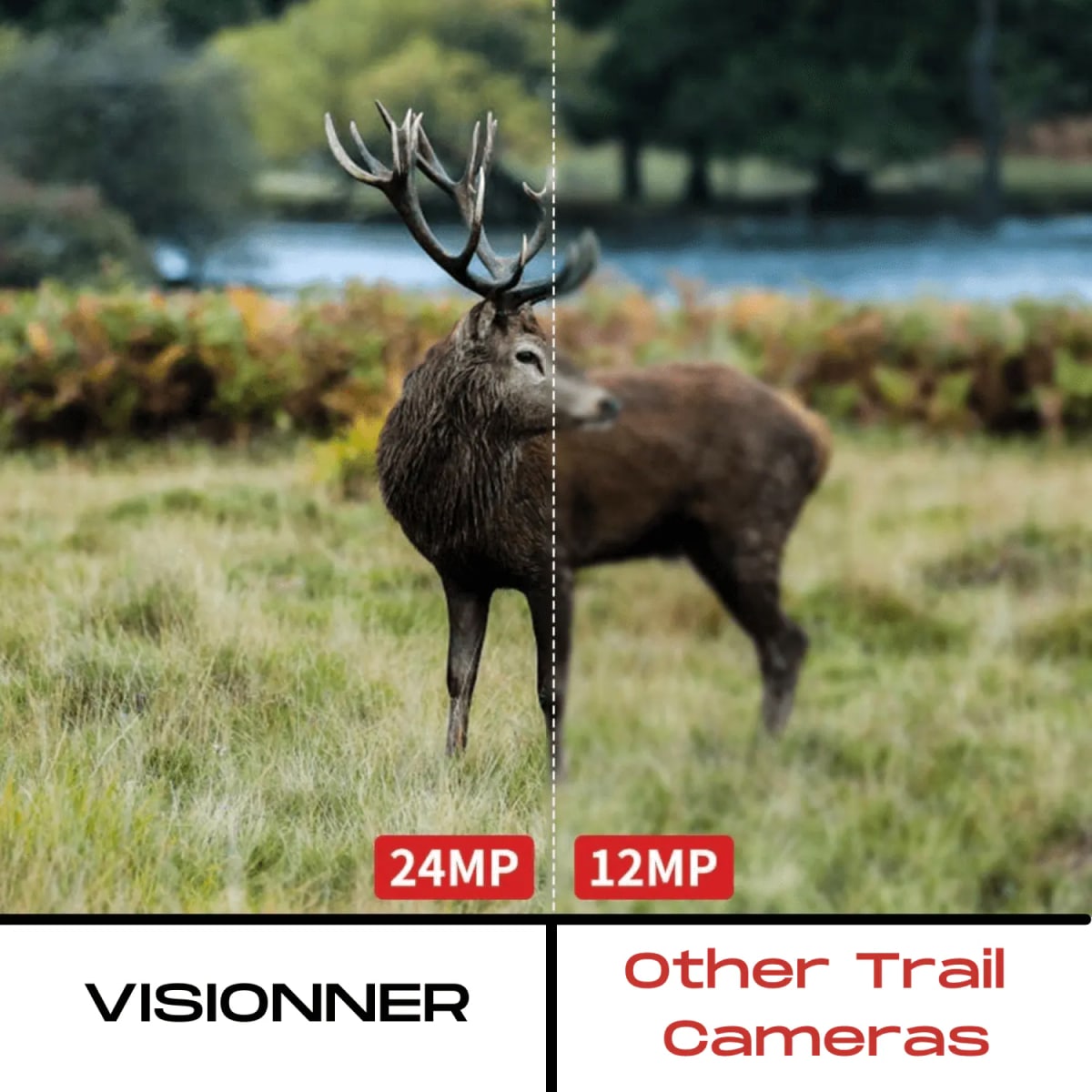 SkyeScout Cellular Game Camera - Save 50% Now