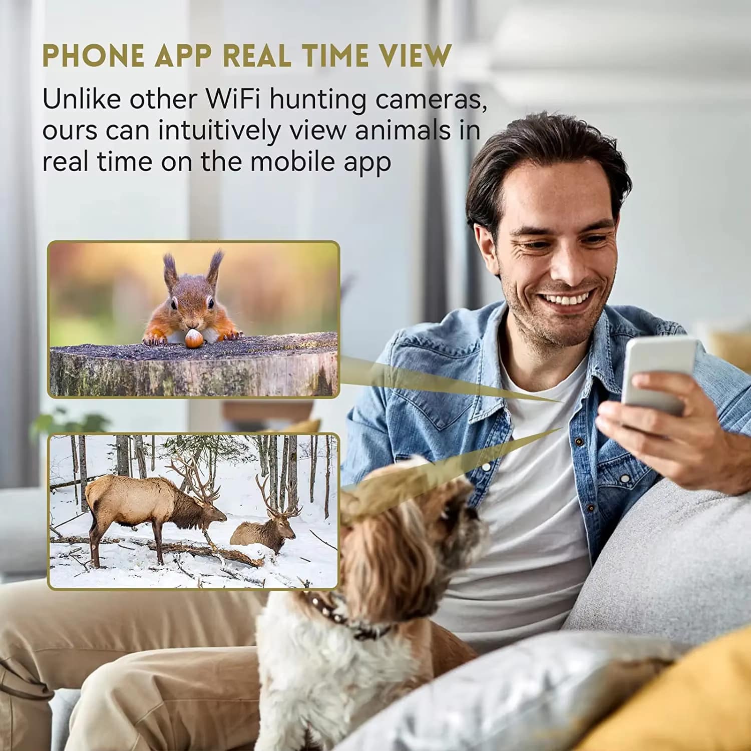 SkyeScout - Save 50% Now