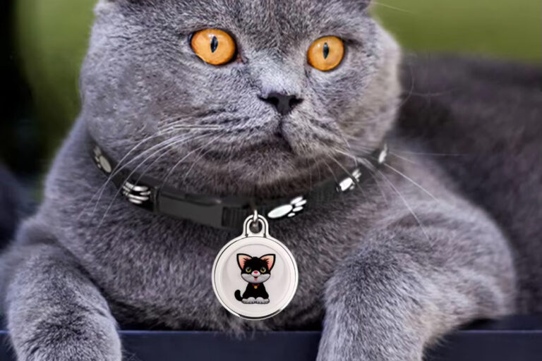 PurrPointo Cat GPS Tracker - Save 50% Now