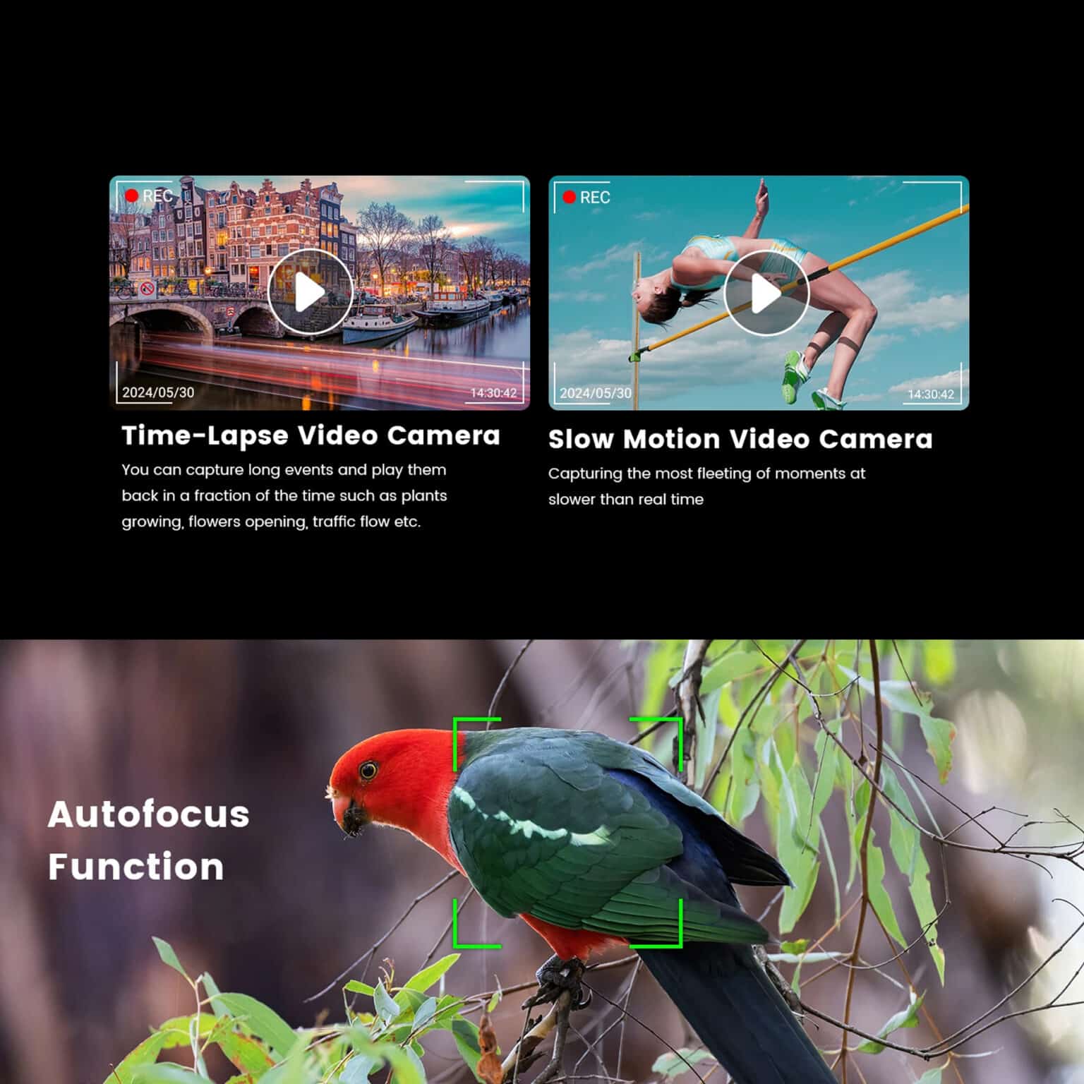 Lensiox DSLR Camera For Beginners – 50% Off